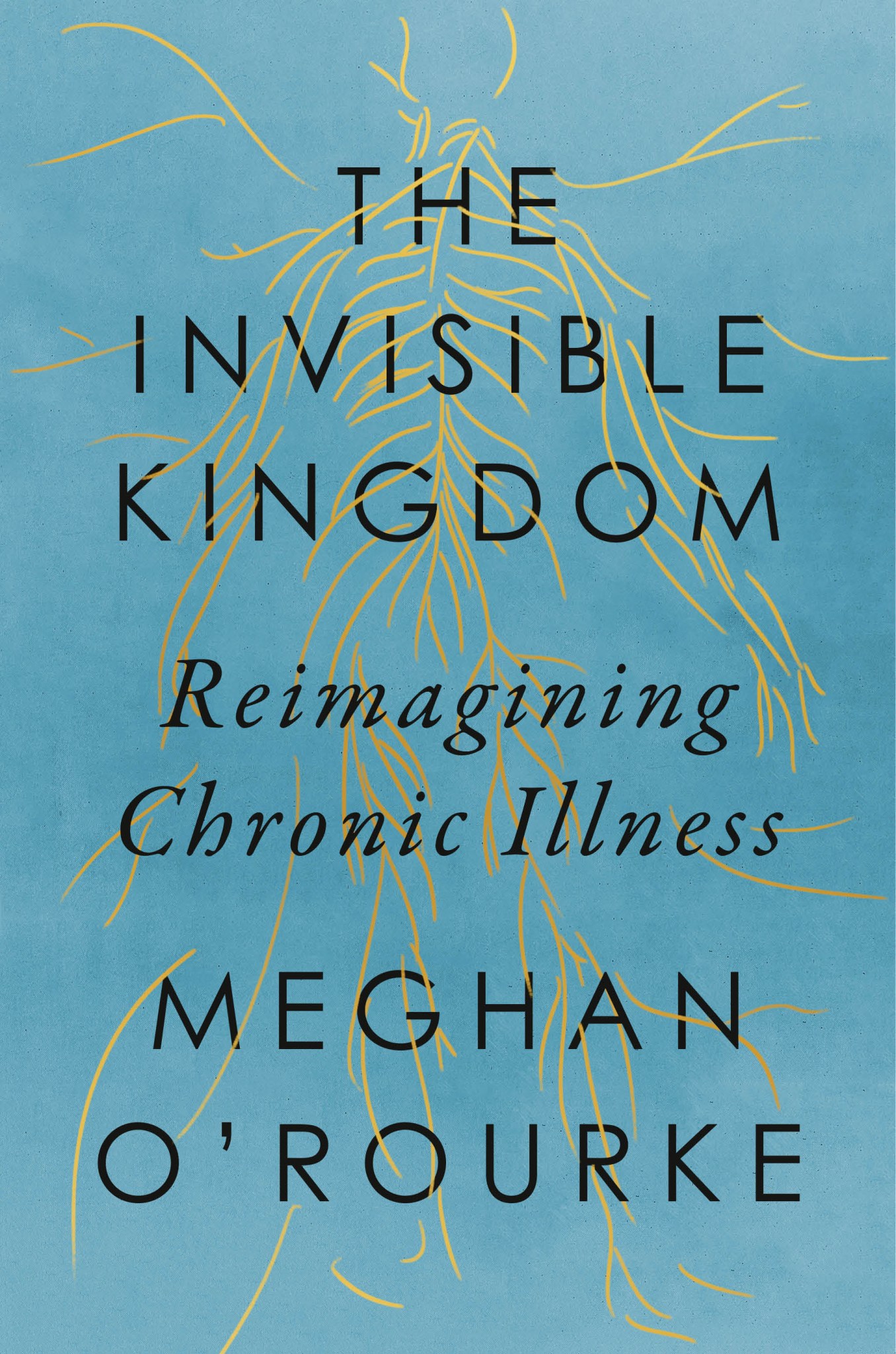 Book Review: The Invisible Kingdom by Meghan O’Rourke – My Crohn's Diaries